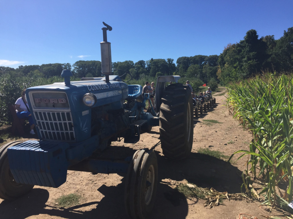 A Perfect Family Fall Day in Massachusetts- The Daily Adventures of Me