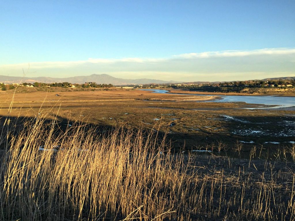 A Local's Guide to Orange County California - The Daily Adventures of Me