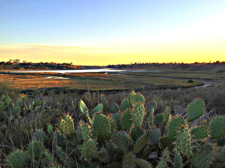 75 of the Best Places to Visit in Southern California - The Daily ...