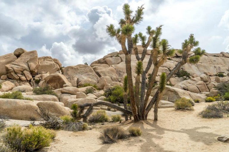 The Beauty of Visiting US National Parks Off-Season- The Daily ...