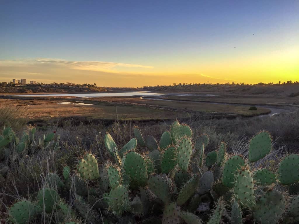 3 Easy Hikes by the Ocean in Orange County, California - The Daily ...