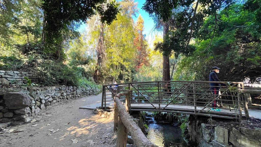 An Easy Hike to Griffith Observatory, Los Angeles, Ca - The Daily ...