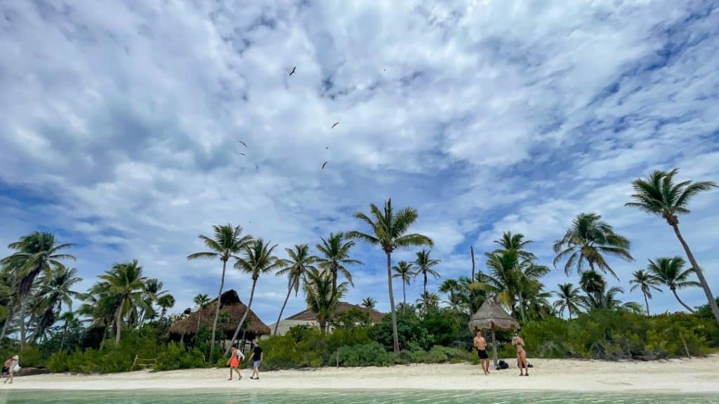 A Day Trip to Isla Contoy, Mexico from Cancun - The Daily Adventures of Me