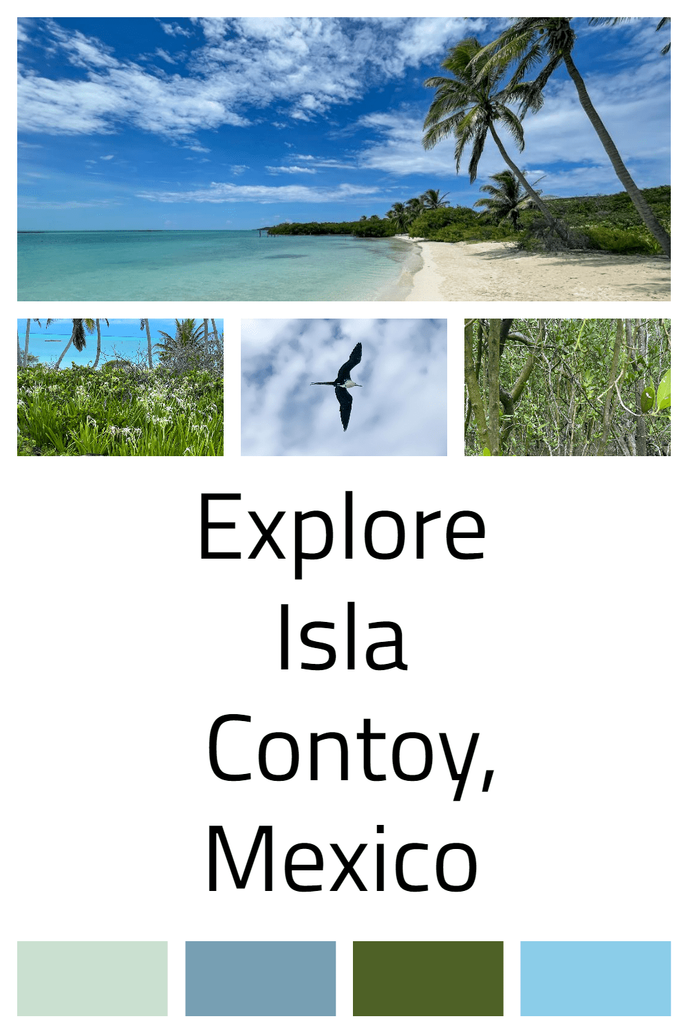 A Day Trip to Isla Contoy, Mexico from Cancun - The Daily Adventures of Me