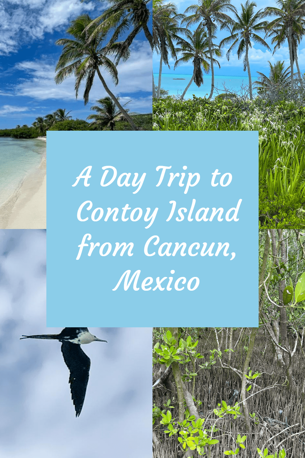 A Day Trip to Isla Contoy, Mexico from Cancun - The Daily Adventures of Me