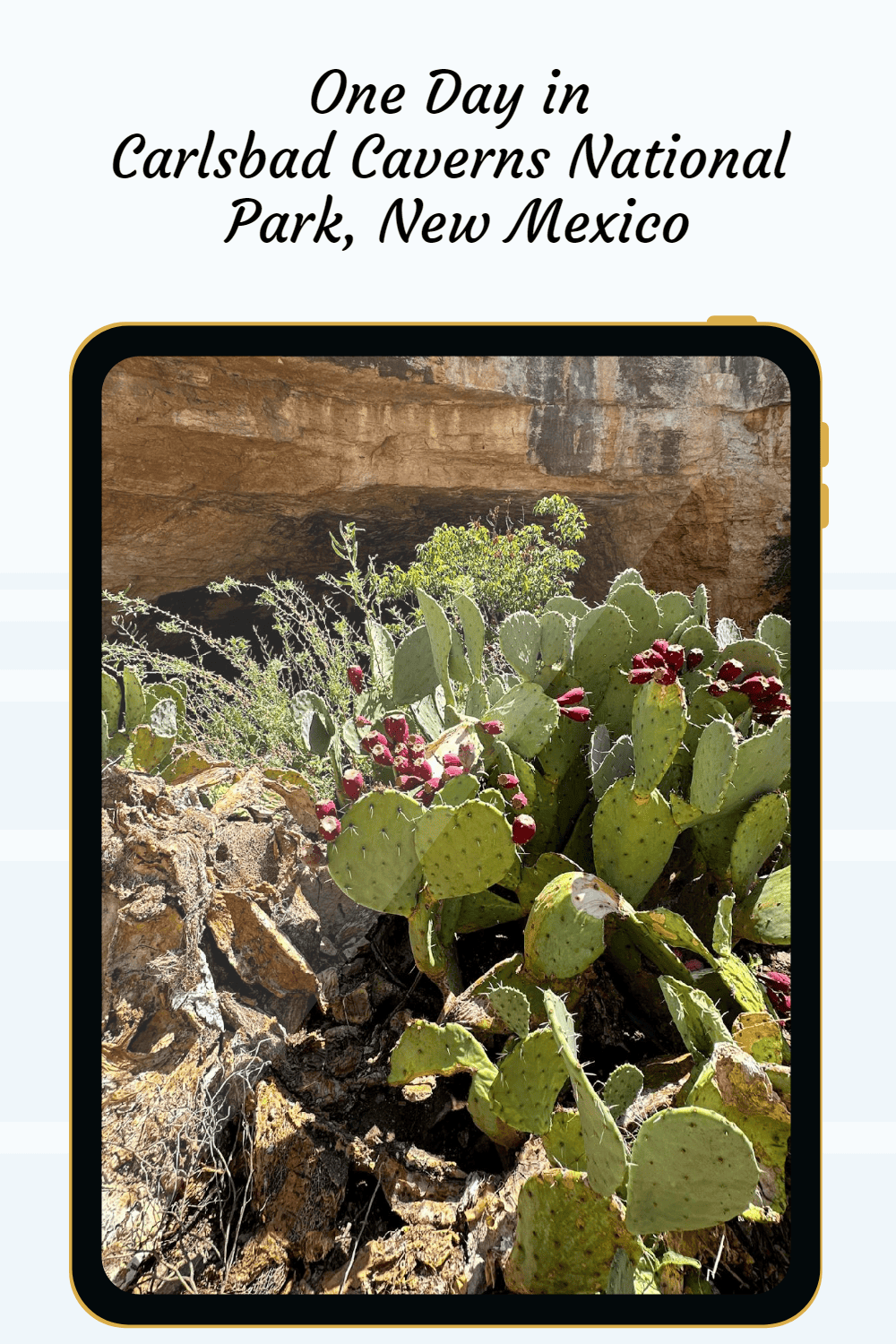 One Day at Carlsbad Caverns National Park, New Mexico - The Daily ...