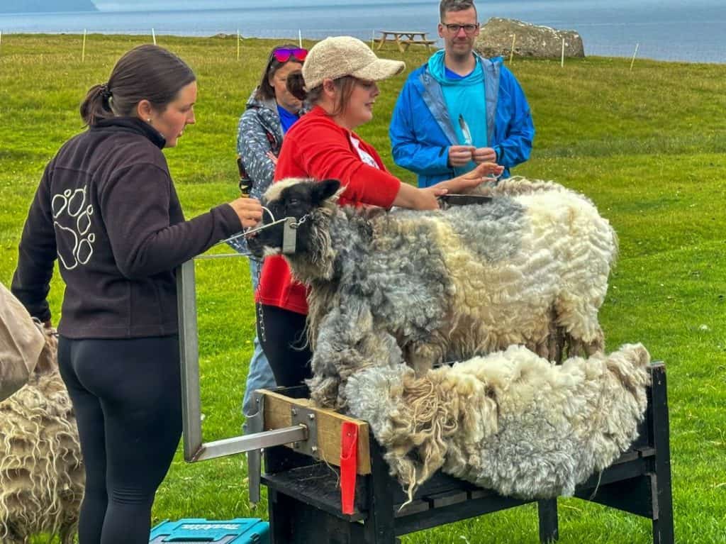 My Self-Drive Faroe Islands Itinerary - The Daily Adventures of Me