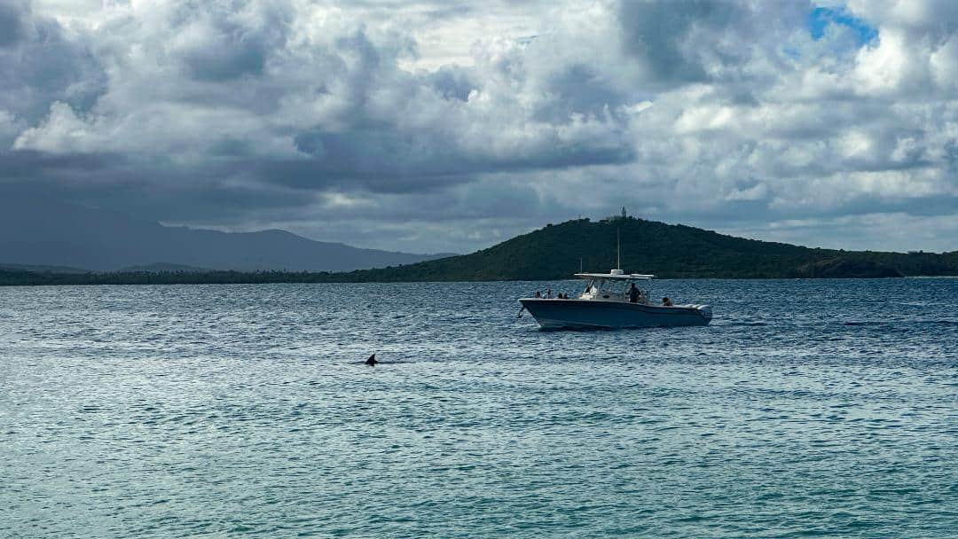 Visiting Icacos Island, Puerto Rico - The Daily Adventures of Me