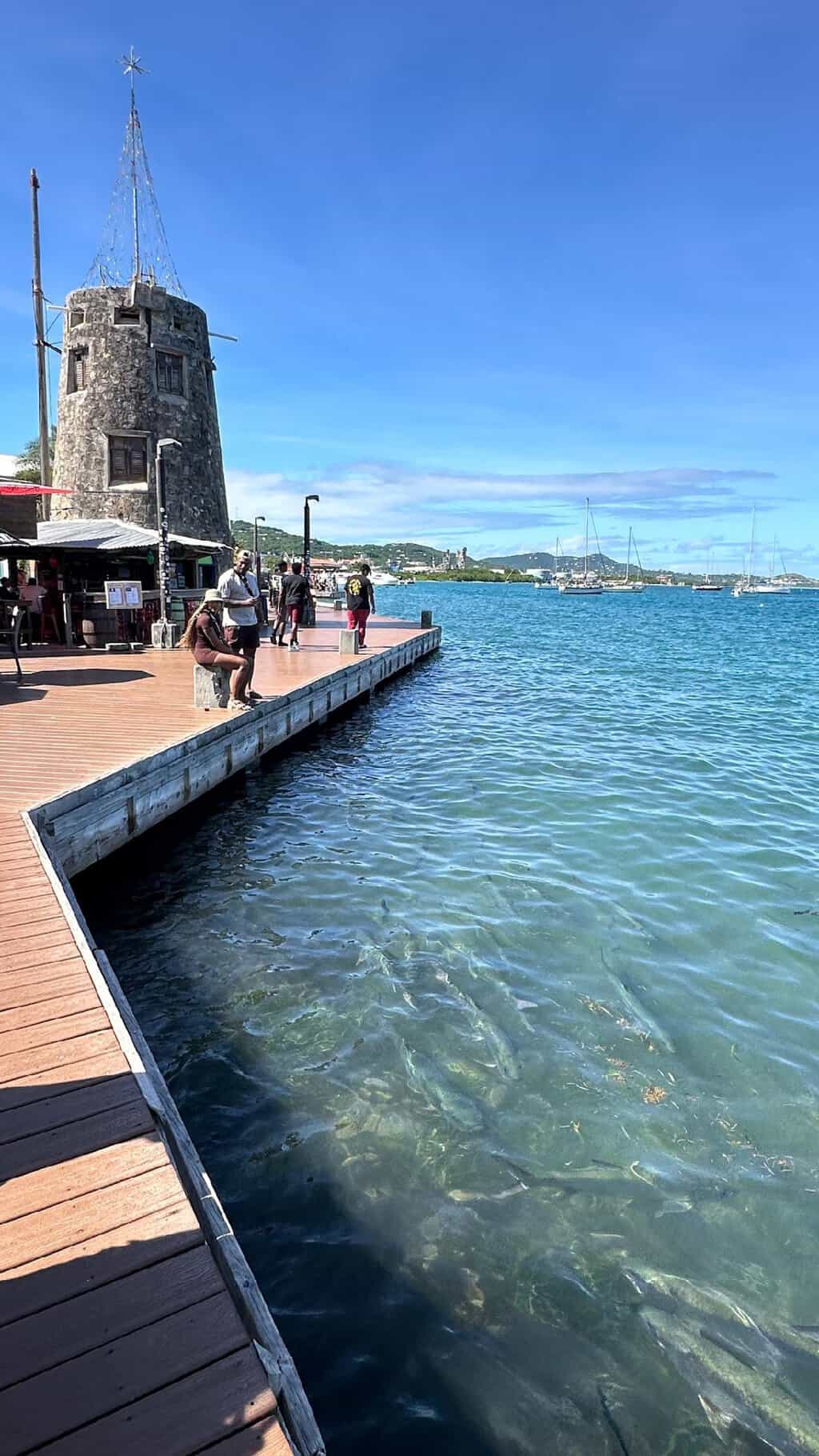 What to Do in St. Croix, US Virgin Islands on a Cruise Port - The Daily ...